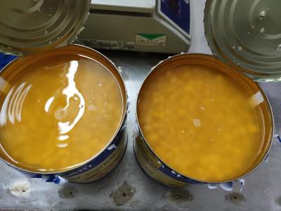 China Yellow Whole Kernel Canned Sweet Corn 400g Vacuum Sealed Tins BRC HACCP Certified for sale