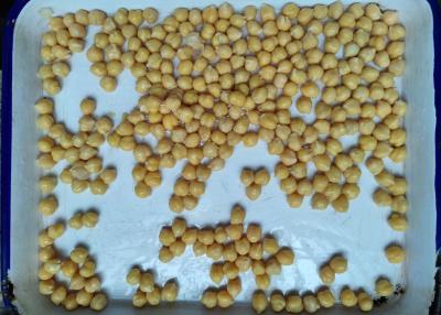 China Canned Garbanzo Beans Chick Peas 400g 24 Cans Soft Texture No Impurity for sale