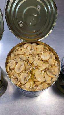 China Canned Champignon Mushrooms Medium Size Easy Open Lid 0.6-1.3% Salinity Pure Natural Flavor for sale