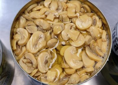 China 2840g Canned Champignon Mushroom Pieces and Stems 6 Tins per Carton for sale