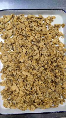 China Canned Champignon Mushroom Pieces and Stems with Natural Salt 400g Tin for sale