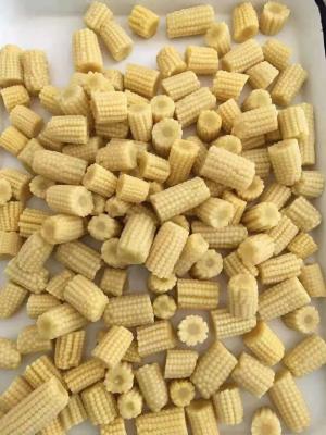 China Soft Texture Canned Sweet Corn Yellow Color Vacuum Packed for sale