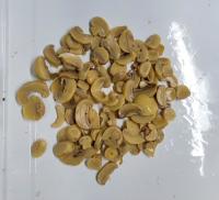 China Canned Champignon Mushroom 400g Ready to Eat Preserved White Mushrooms Medium Size for sale