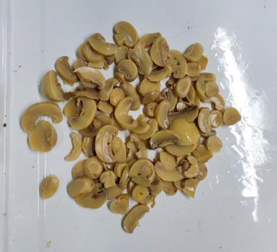 China Canned Champignon Mushroom 400g Ready to Eat Preserved White Mushrooms Medium Size for sale
