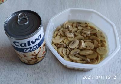 China Bulk Canned Champignon Mushrooms Brine Pack No Preservatives 400g Easy Open Lid for sale