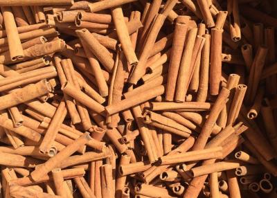 China Premium Cigarette Cassia Sticks 8cm 10cm 12cm Length | Top Grade Aromatic Bark | 13.5% Max Moisture for sale