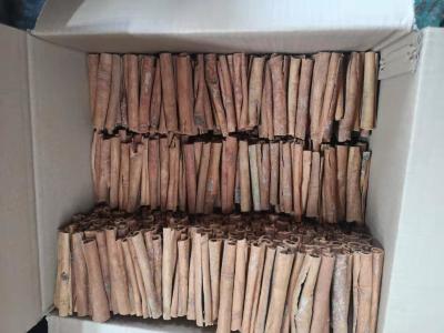 China Cigarette Cassia Bulk Supply - 13.5% Moisture Content, 5-12cm Length Spices for Wholesale Distribution for sale