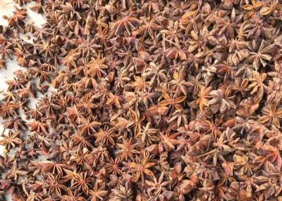 China Vietnamese Star Anise Seeds - Autumn & Spring Varieties, 13.5% Max Moisture, 2.5cm Petal Size, GMP/HACCP Certified for sale