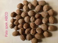 China Indonesian Nutmeg Myristica Fragrans With or Without Shell - 50KG Jute Bag, 3 Year Shelf Life, Below 10% Moisture for sale