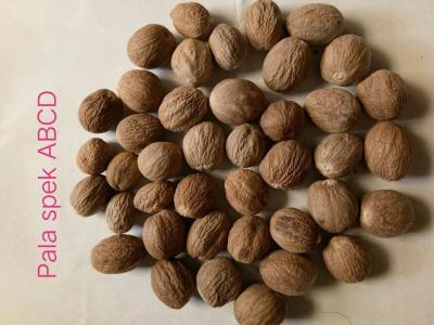 China Indonesian Nutmeg Myristica Fragrans With or Without Shell - 50KG Jute Bag, 3 Year Shelf Life, Below 10% Moisture for sale
