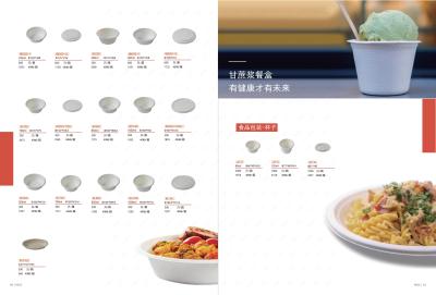 China Biodegradable Disposable Sugarcane Pulp Tableware - 4