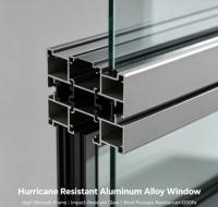China Hurricane Resistant Aluminum Alloy Window for sale