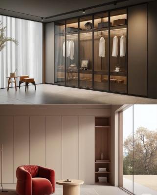 China Italian Dark Gray Metal Frame Smoke Glass Walk-In Wardrobe Full Wall Closet for sale