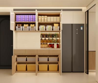 China Fridge & Storage Cabinet for sale