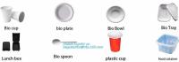 China Blister Packaging Tray Rectangular Plastic Food Tray Corn Starch PLA Cement Tray for sale