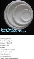 China spoon, folk, knife, tray, disposable plate deli tray, biodegradable breakfast tray, Biodegradable Disposable Food Tray for sale