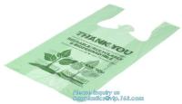 China Home Biodegradable Plastic Shopping Bags HDPE Packing Freezer Food Fruit Bag for sale