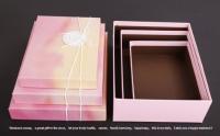 China SPOT UV, COLOR FOILING, EMBOSSED, DEBOSSED, GLOSSY LAMINATION, GOLD FOILING, LETTER PRESS, CARDBOARD, PROMOTION GIFT BOX for sale