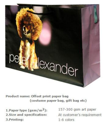 China Low cost custom made design logo print handle paper carrier bag luxury paper gift bag,Luxury Paper Package Packaging Gif for sale