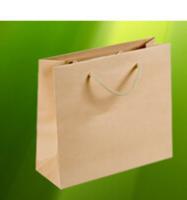China China Manufactures Wholesale Luxury boutique Clothing paper carrier bags with logo,High-End Luxury Unprinted Cardboard S for sale