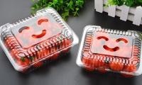 China Hot Selling Plastic PET Sandwich Containers Cake Bread Container Plastic Takeaway Food Box with conjoined cover bagease for sale