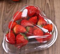China Hot Selling Plastic PET Sandwich Containers Cake Bread Container Plastic Takeaway Food Box with conjoined cover bagease for sale