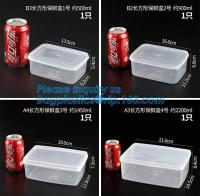 China Factory direct sale pp plastic food storage canister set food preservative box,Plastic home usage fresh food storage box for sale