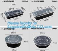 China Plastic Food Container Lunch Box With 5 cells Compartments 304 Stainless Steel Bento Lunch Box Leakproof Kids and Studen for sale