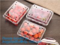 China Blister Packaging Food Container,Disposable Blister Fruit Salad Container,Plastic blister fruit box / container / fruit for sale