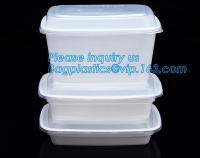 China Factory Direct Lid Plastic Lunch Box Clear Food Container,Keep Fresh Crisper Food Box,Fresh Boxpp packaging disposable c for sale