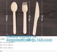 China Classic type stainless steel cultery set with plastic handle,fashion design stainless steel cultery with black handle di for sale