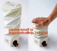 China Customized plastic transparent oil bib bag pouch in box 20 liter,China Factory Direct Supply BIB Empty Bag In Box BAGEAS for sale