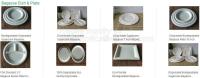 China Eco Biodegradable Disposable Sugarcane Bagasse Food Container,Customize biodegradable corn starch plastic food storage c for sale