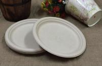 China Full Biodegradable Oval Compostable plastic Corn Starch plates,Eco- Friendly Biodegradable Corn Starch Disposable Tablew for sale
