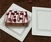 China Full Biodegradable Oval Compostable plastic Corn Starch plates,Eco- Friendly Biodegradable Corn Starch Disposable Tablew for sale
