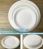 China Compostable biodegradable dinner plate corn starch plate,Elegant Disposable Corn Starch Bio Plastic Dinner Plates bagpla for sale