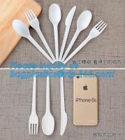 China Food Grade Hottest Chinese Supplier Stocked Biodegradable Corn Starch Soup Spoon,biodegradable baby products cutlery wal for sale
