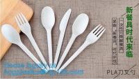 China Food Grade Hottest Chinese Supplier Stocked Biodegradable Corn Starch Soup Spoon,biodegradable baby products cutlery wal for sale