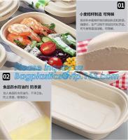 China Pulp bowl, sugarcane take away fast food container with Lid,Compostable sugarcane bagasse clamshell food containers pac for sale