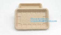 China Biodegradable & Compostable 8 inchSquare sugarcane trays,sugarcane pulp compostable serving tray,lunch tray bagasse suga for sale