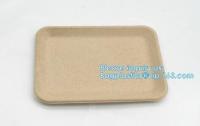 China Biodegradable & Compostable 8 inchSquare sugarcane trays,sugarcane pulp compostable serving tray,lunch tray bagasse suga for sale