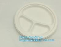 China Biodegradable plate food grade green sugarcane bagasse plate,10