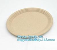 China biodegradable tableware 5 compartment sugarcane tray,100% Biodegradable Disposable Sugarcane Paper Raw Material Composta for sale