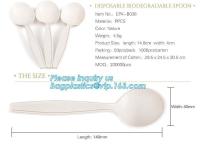 China factory direct biodegradable corn starch 5 inch dessert spoon,food grade disposable biodegradable corn starch spoon pac for sale
