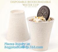 China Custom Disposable Clear Cold Drink Juice Cup 100% Ecofriendly Biodegradable Compostable PLA Plastic Coffee Drinking Cup for sale
