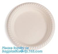 China biodegradable corn starch plate,factory wholesale biodegradable corn starch food plate,Factory 6.2 inch Custom Logo Eco for sale