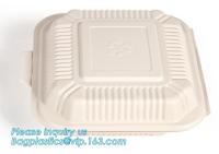 China corn starch clamshell box,Corn Starch Food Container, Disposable Lunch Box,Biodegradable Microwave Corn Starch Food Cont for sale