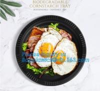 China Eco Friendly Biodegradable Sugarcane Bagasse Plates Disposable,Sugarcane Bagasse Pulp Disposable Biodegradable Plate For for sale