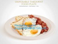 China custom printed party plates disposable sugarcane bagasse plate Biodegradable Bamboo disposable paper plates bagease pack for sale
