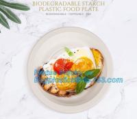 China custom printed party plates disposable sugarcane bagasse plate Biodegradable Bamboo disposable paper plates bagease pack for sale